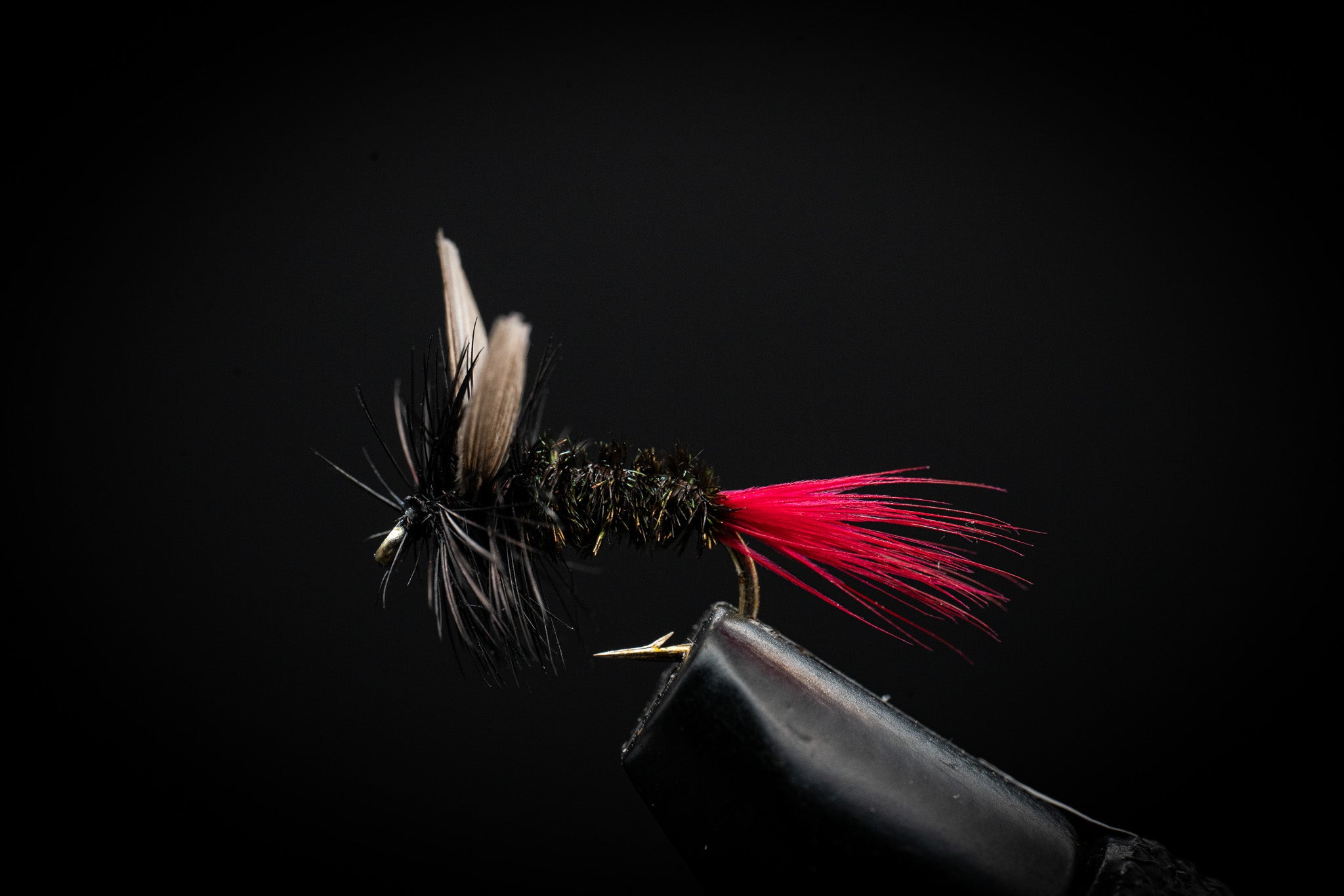 Black Gnat Red Tail – Good Cheap Flies